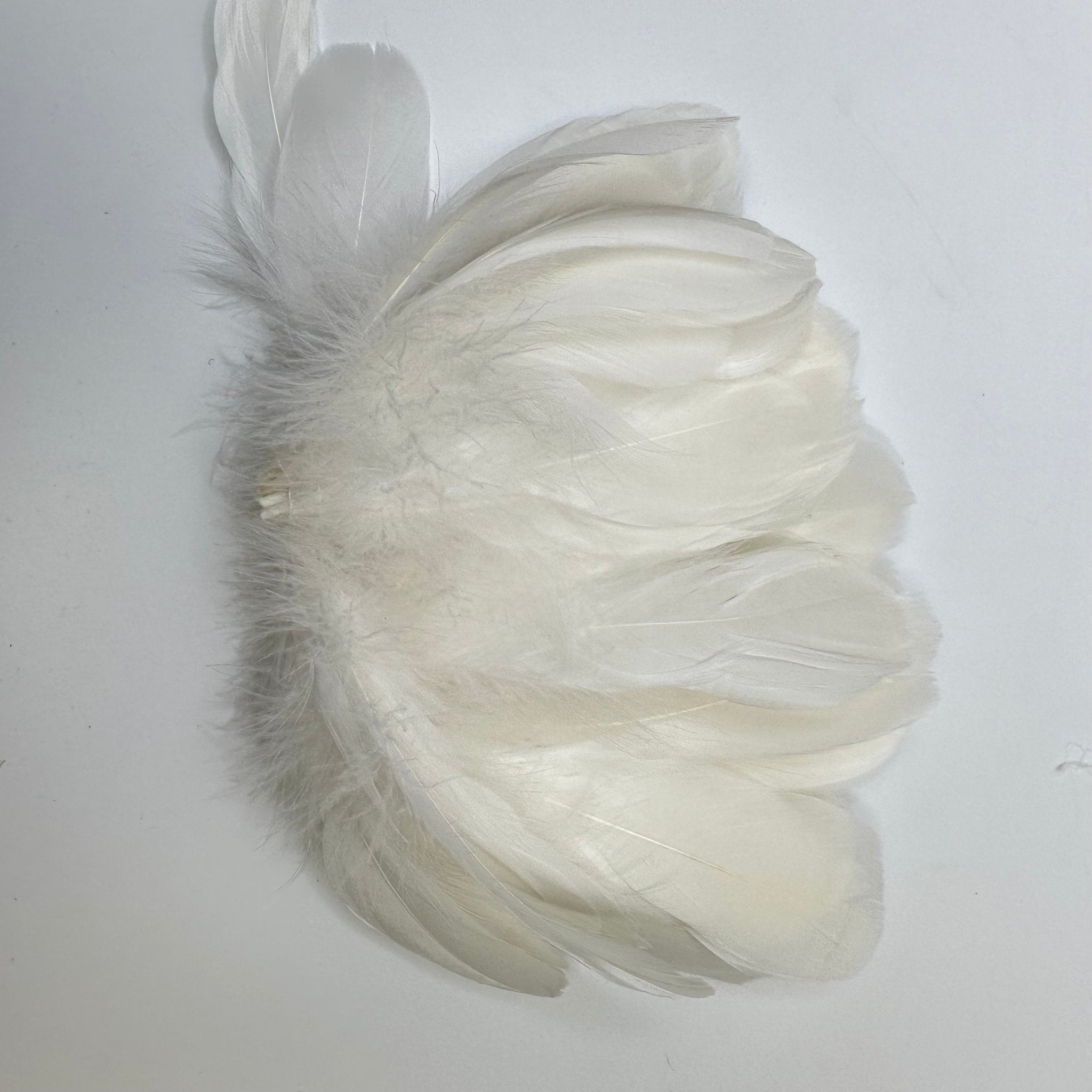 soft-white-craft-feathers-creamwhite-10-pack-true-deadstock-supplies ...
